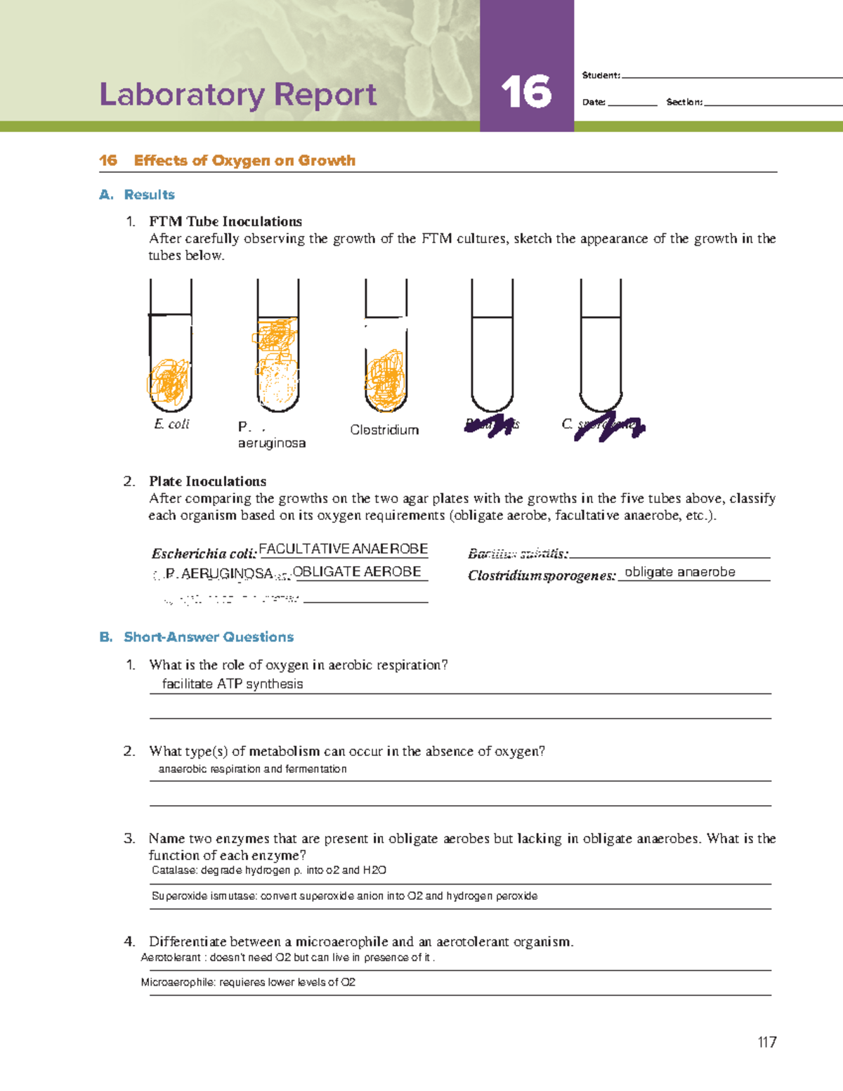 Exercise 16 Lab Report Effects of oxygen - Laboratory Report Student ...