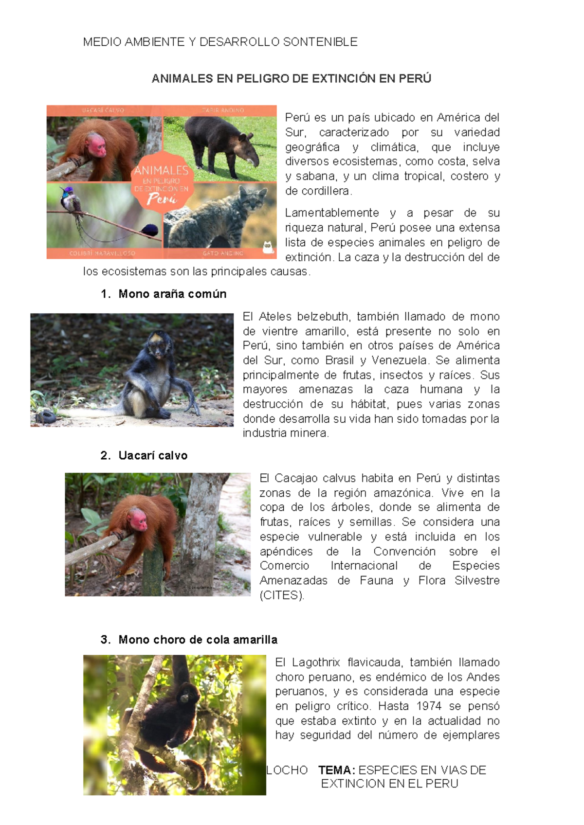 Animales EN Peligro DE Extinción EN PERÚ - ANIMALES EN PELIGRO DE ...