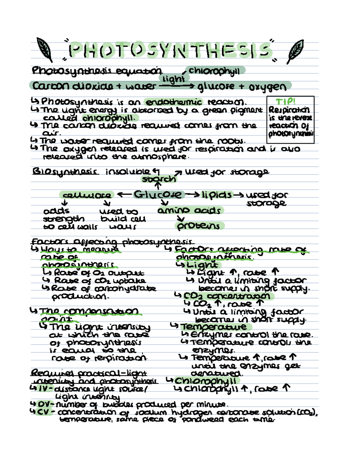 Photosynthesis poster (2) Copy - I I int o it NT h't it s EE ...