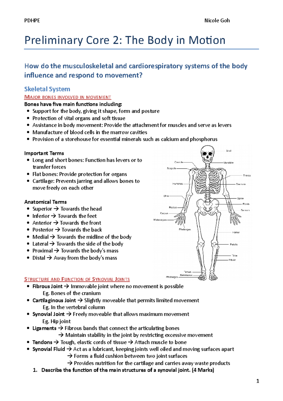 Core 2 - The Body in Motion - Preliminary Core 2: The Body in Motion ...