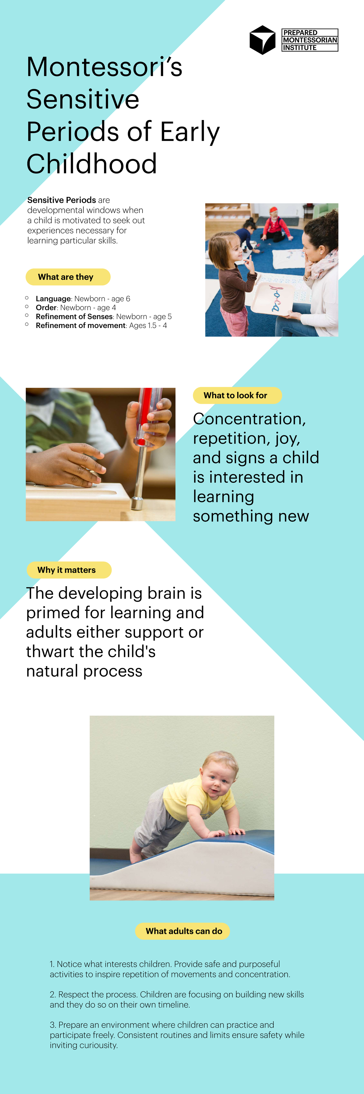 Montessori's+Sensitive+Periods+of+Early+Childhood Prepared+Montessorian ...