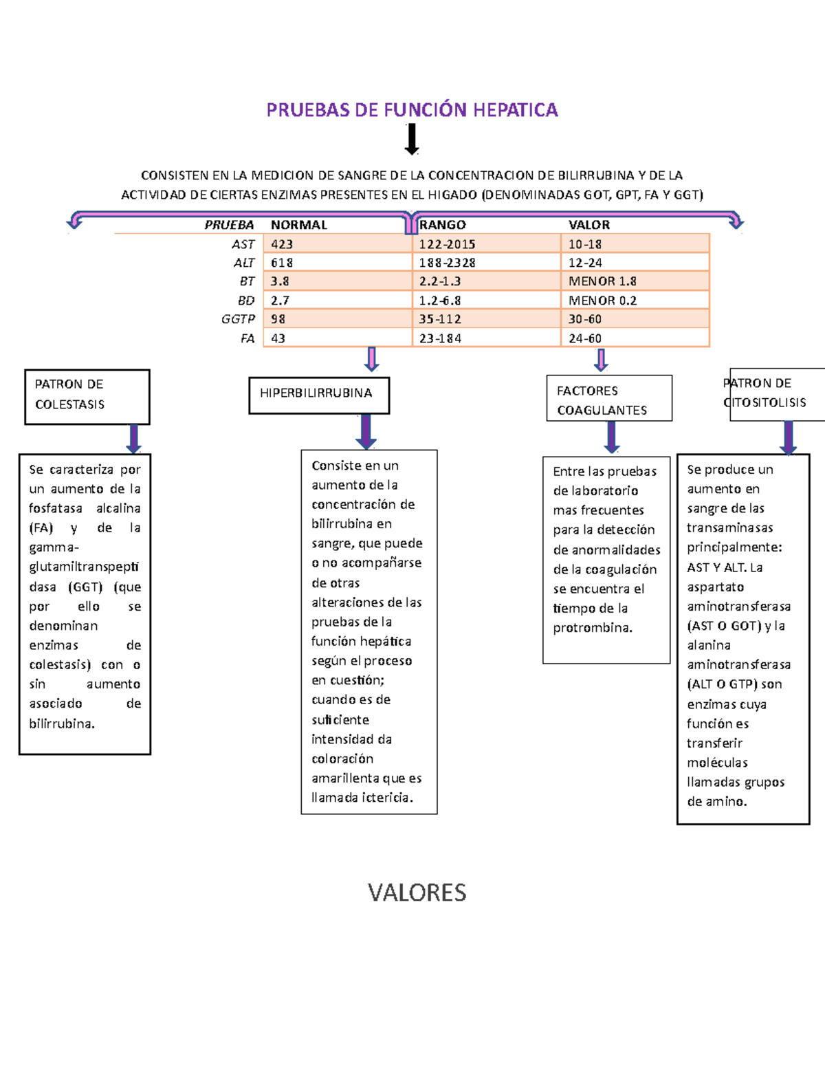 Pruebas DE Funcionamiento Hepatico MAPA CONCEPTUAL PROPEDEUTICA