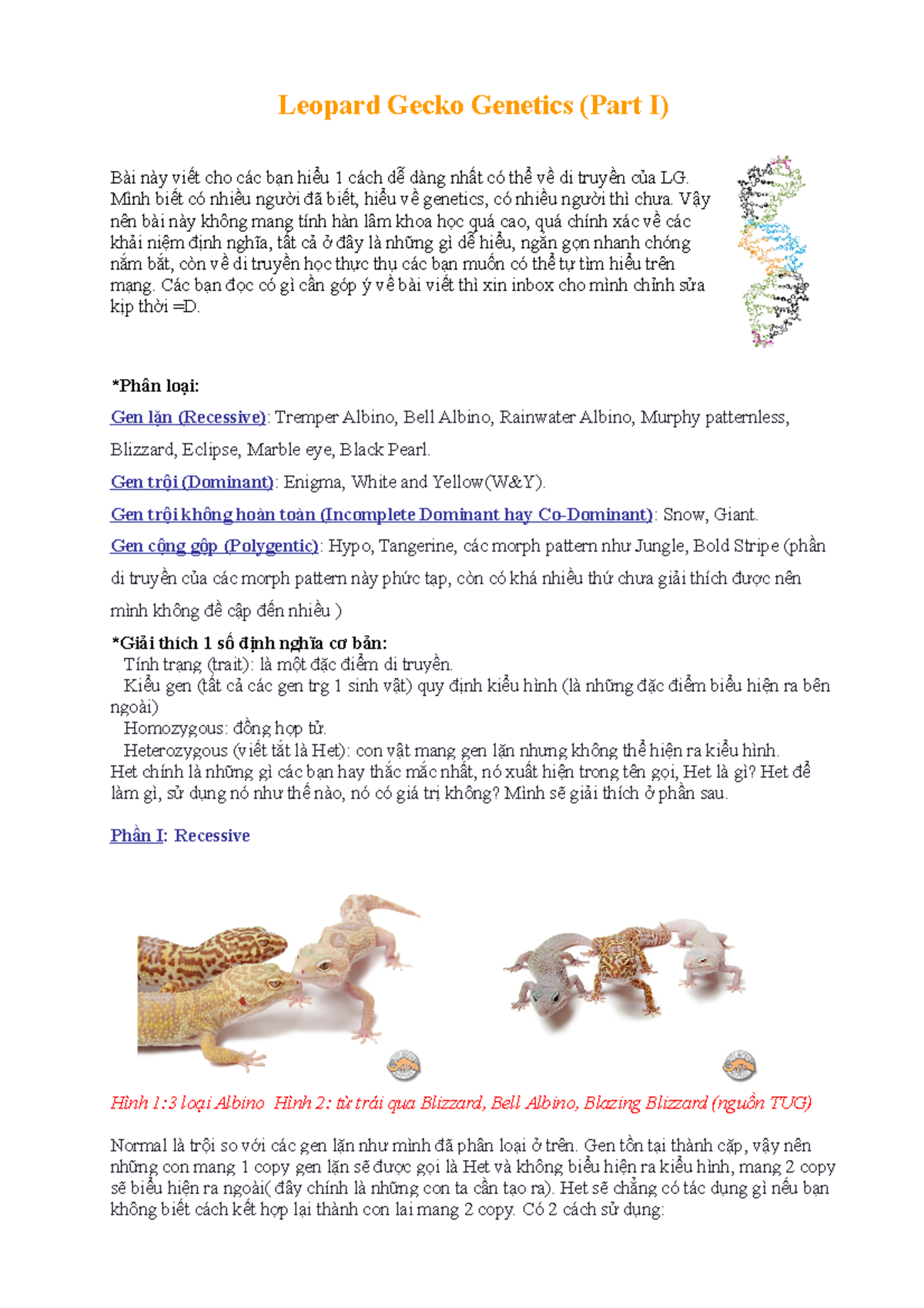 Leopard Gecko Genetics (Part I) - Mình biết có nhiều người đã biết ...