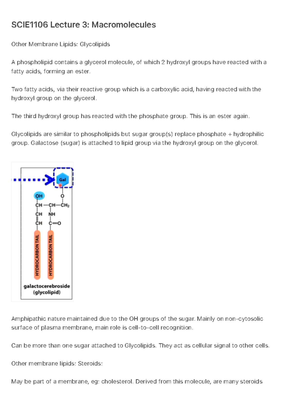 SCIE1106 Lecture 3: Macromolecules - SCIE1106 Lecture 3: Macromolecules ...