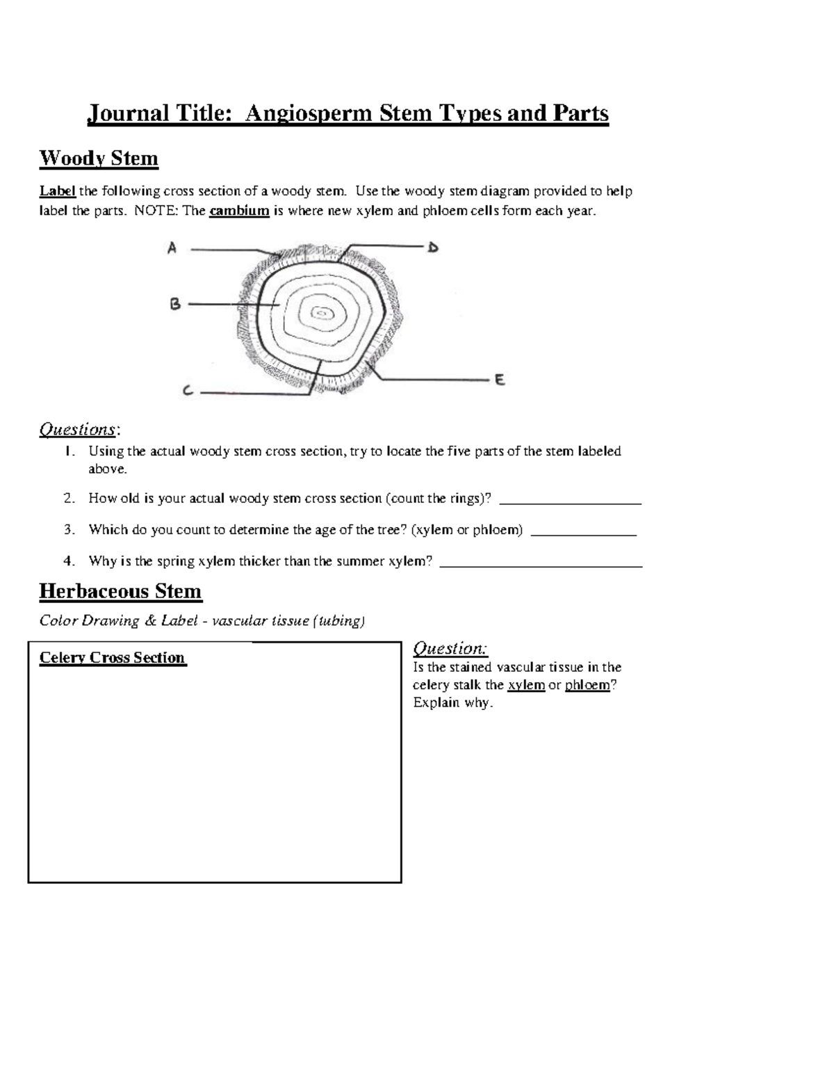 Decoding the Hidden Messages - Journal Title: Angiosperm Stem Types and ...
