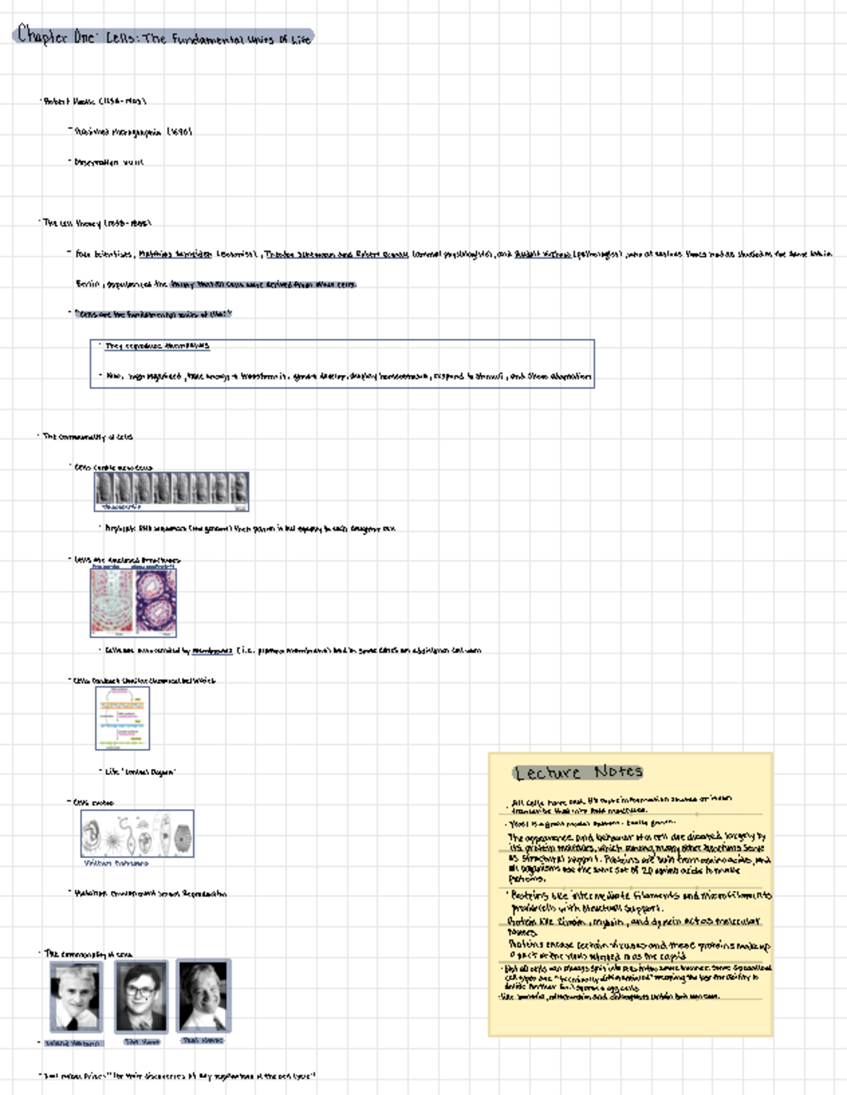 Cell Biology pg 1 - Personal chapter one notes - Chapter One : Cells ...
