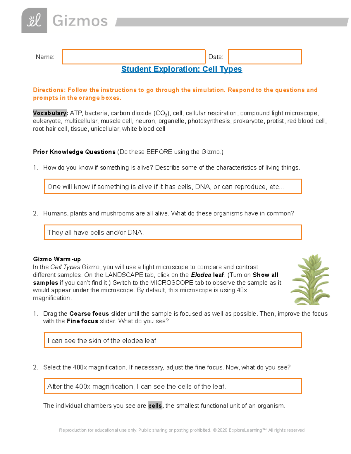 Gizmo Cell Types (shortened) - Name: Date: Student Exploration: Cell ...