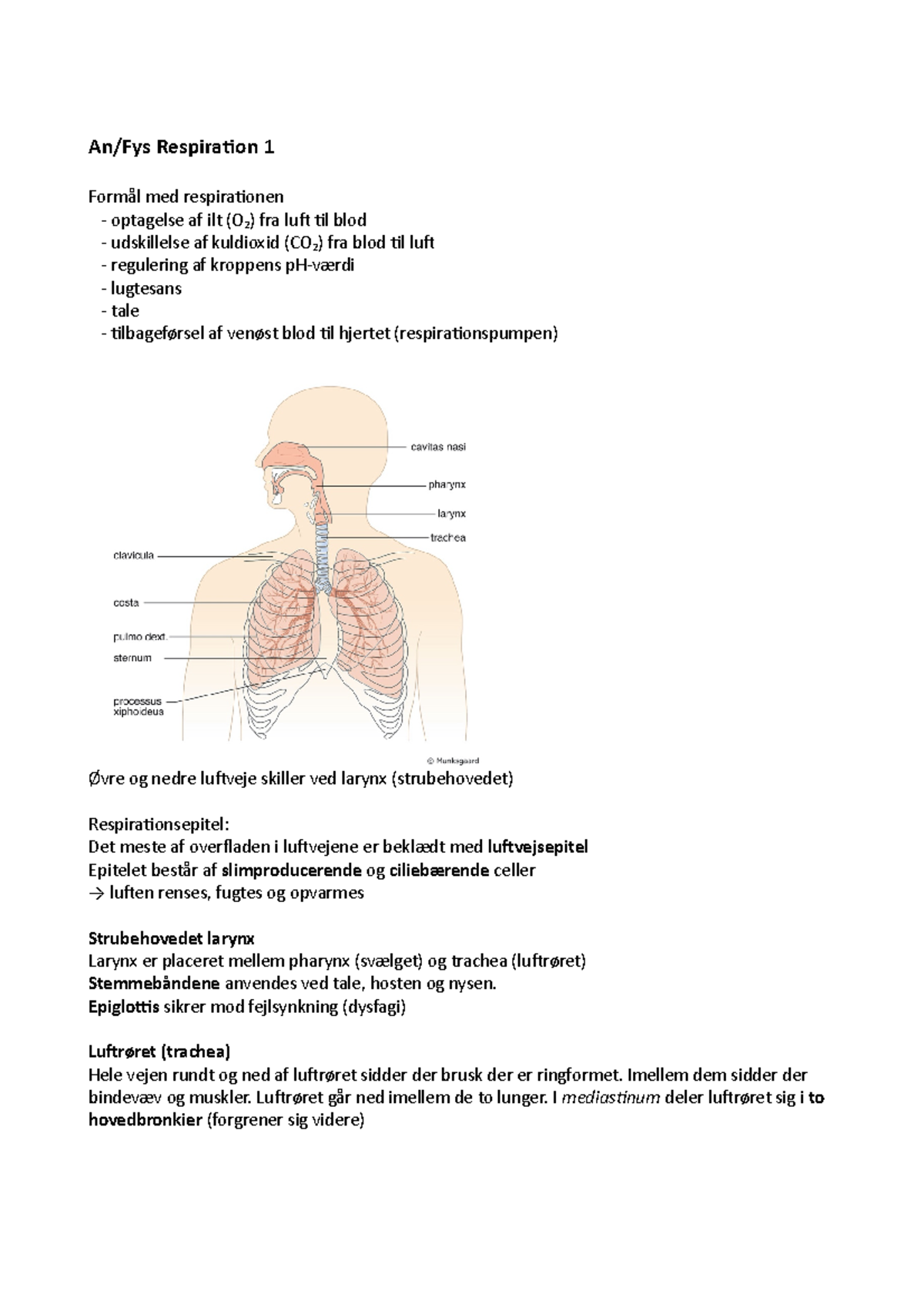 An:fys respiration - Noter - An/Fys Respiration 1 Formål med ...