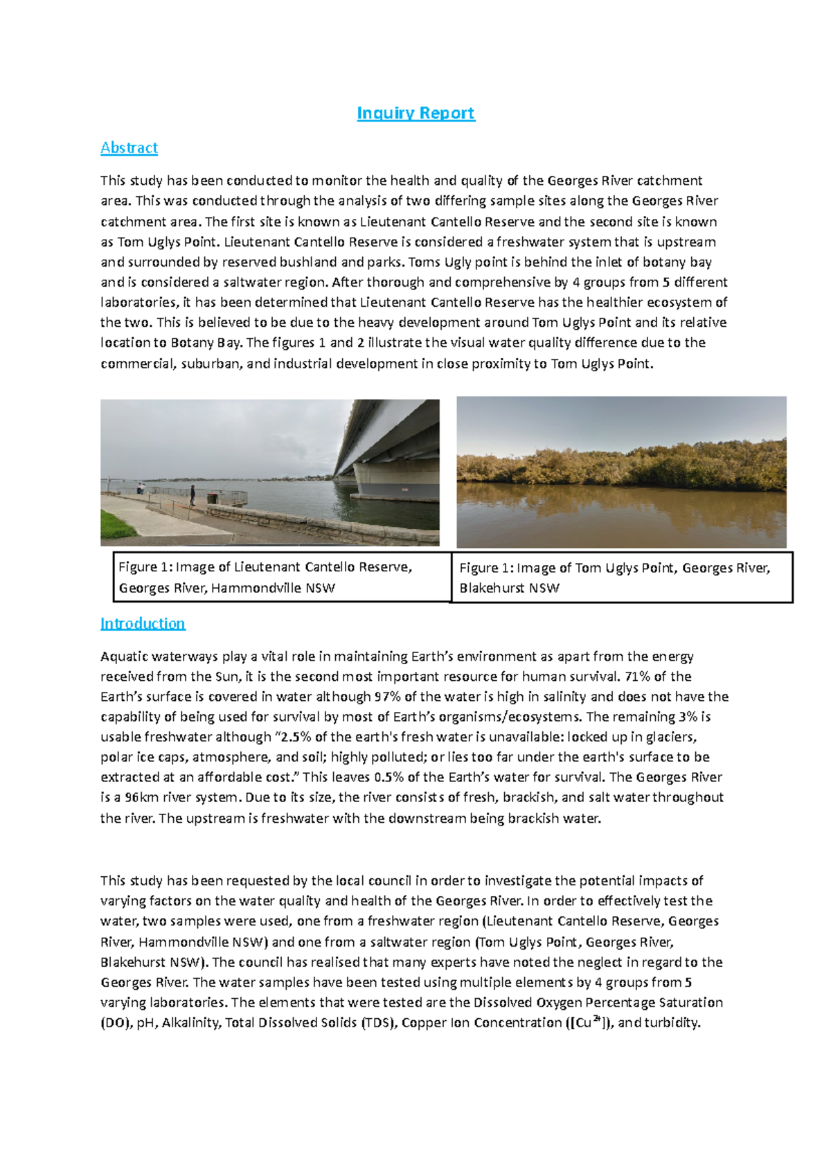 Inquiry Report - Inquiry Report Abstract This study has been conducted ...