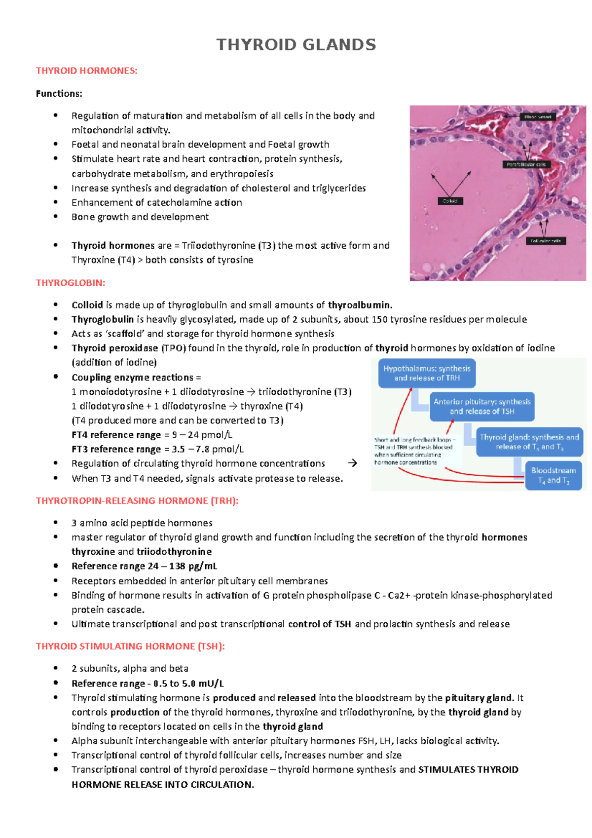 Thyroid glands Notes - THYROID GLANDS THYROID HORMONES: Functions ...
