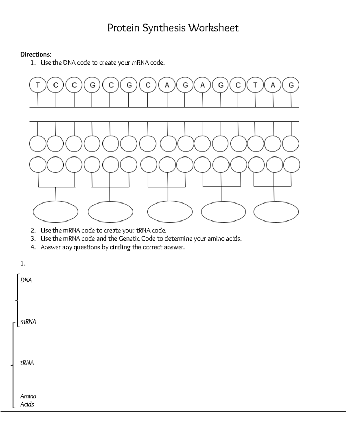 Protein Synthesis Worksheet - Protein Synthesis Worksheet Directions: 1 ...