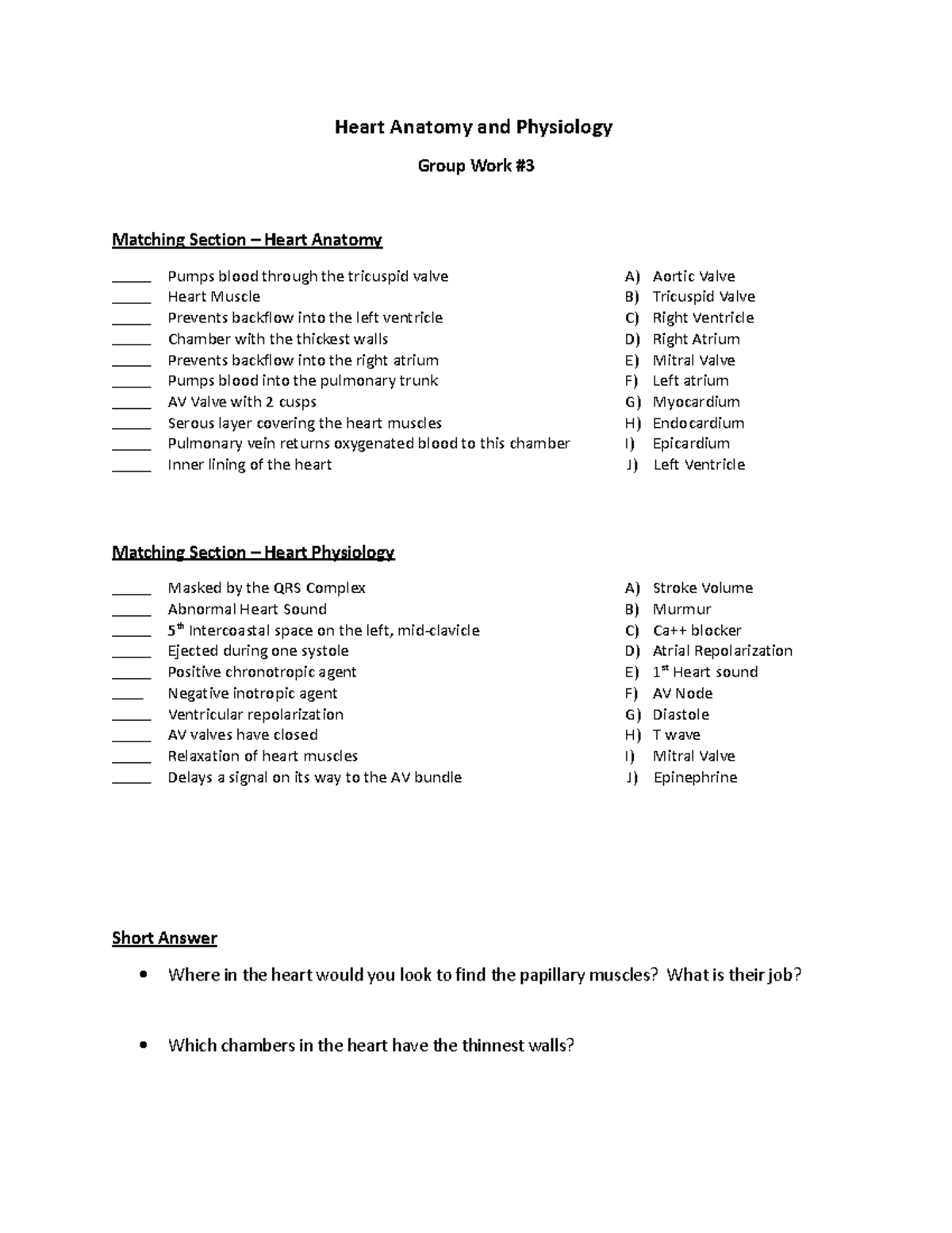 Group Work #3 - Heart Anatomy and Physiology - Heart Anatomy and ...