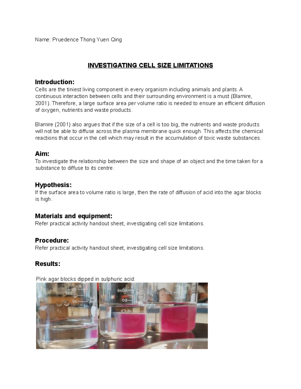 Investigating Cell Size Limitations Name Pruedence Thong Yuen Qing investigating-cell-size-limitations-name-pruedence-thong-yuen-qing