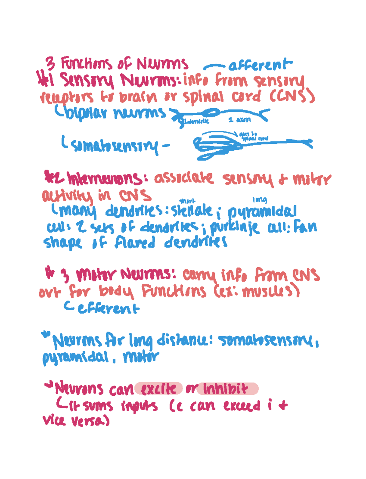 Chapter 3 Reading Notes - Cog Neuro CCU - 3 Functions of NW MS afferent ...