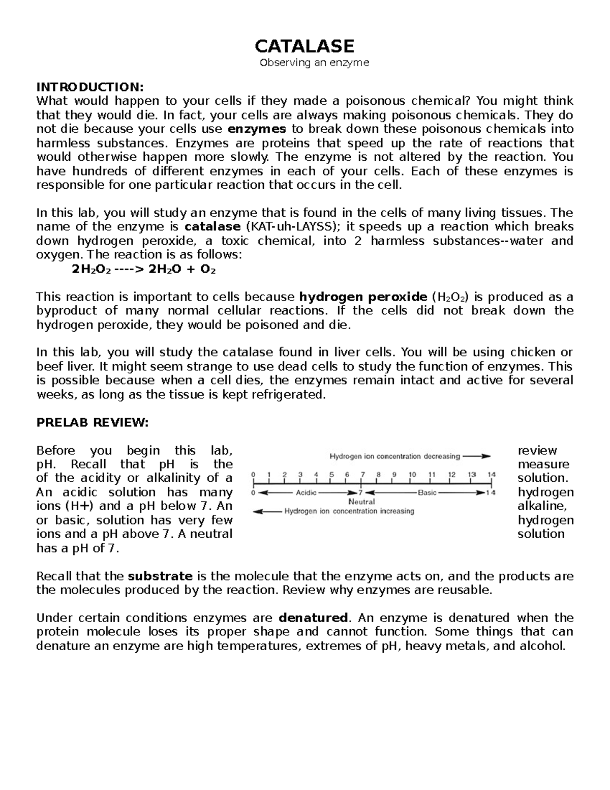 Catalase lab enzyme effect - HT 160 - Harvard - Studocu
