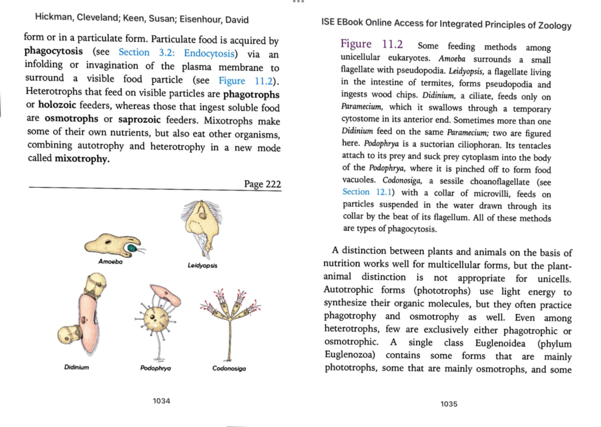 Chapter 11 notes - Dr. Matthew grober - Integrated Principles of ...