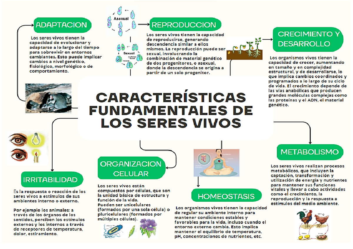 Caracteristicas DE LOS Seres Vivos - Biologia - Studocu