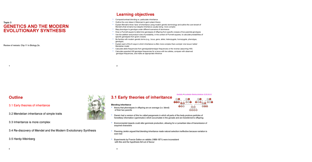 T3 slides Genetics AND THE Modern Evolutionary Synthesis - GENETICS AND ...
