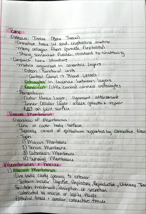 Chapter 1 Introduction to Anatomy and Physiology - Chapter 1 ...