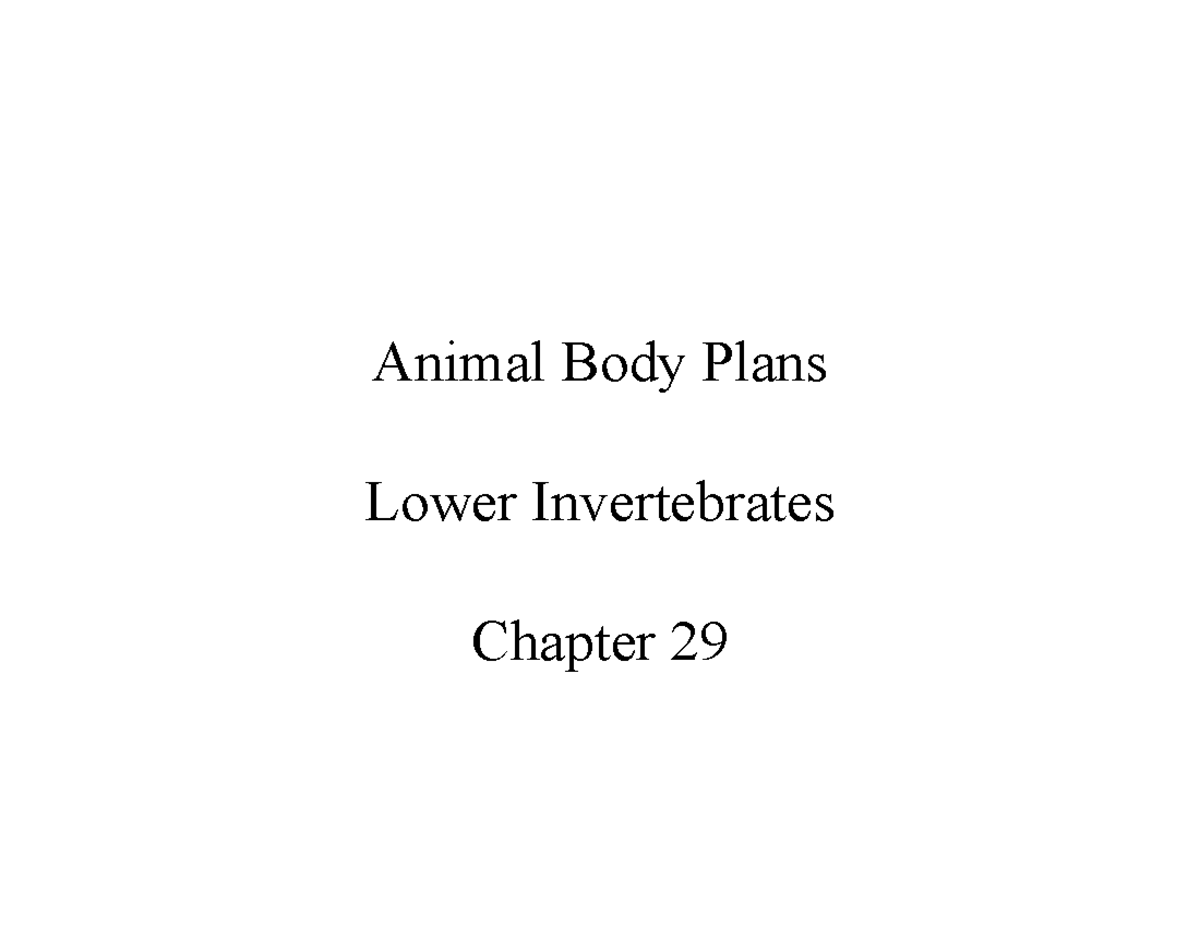 Animal body plans - Lecture week 8 - Animal Body Plans Lower ...