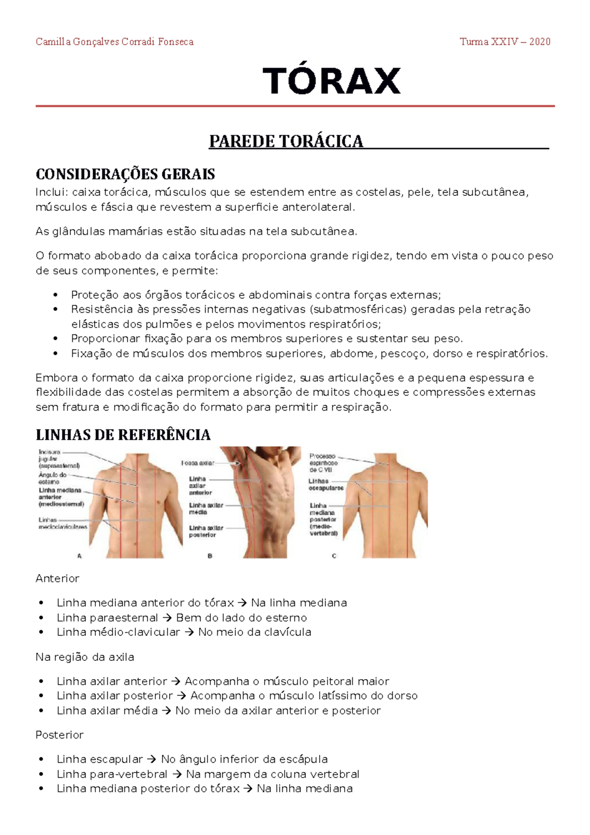 3- Aula anato II tórax - TÓRAX PAREDE TORÁCICA CONSIDERAÇÕES GERAIS ...