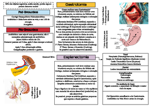 Ovariohisterectomia - Resumo Técnica Cirúrgica - Marina Alaby Brandane ...