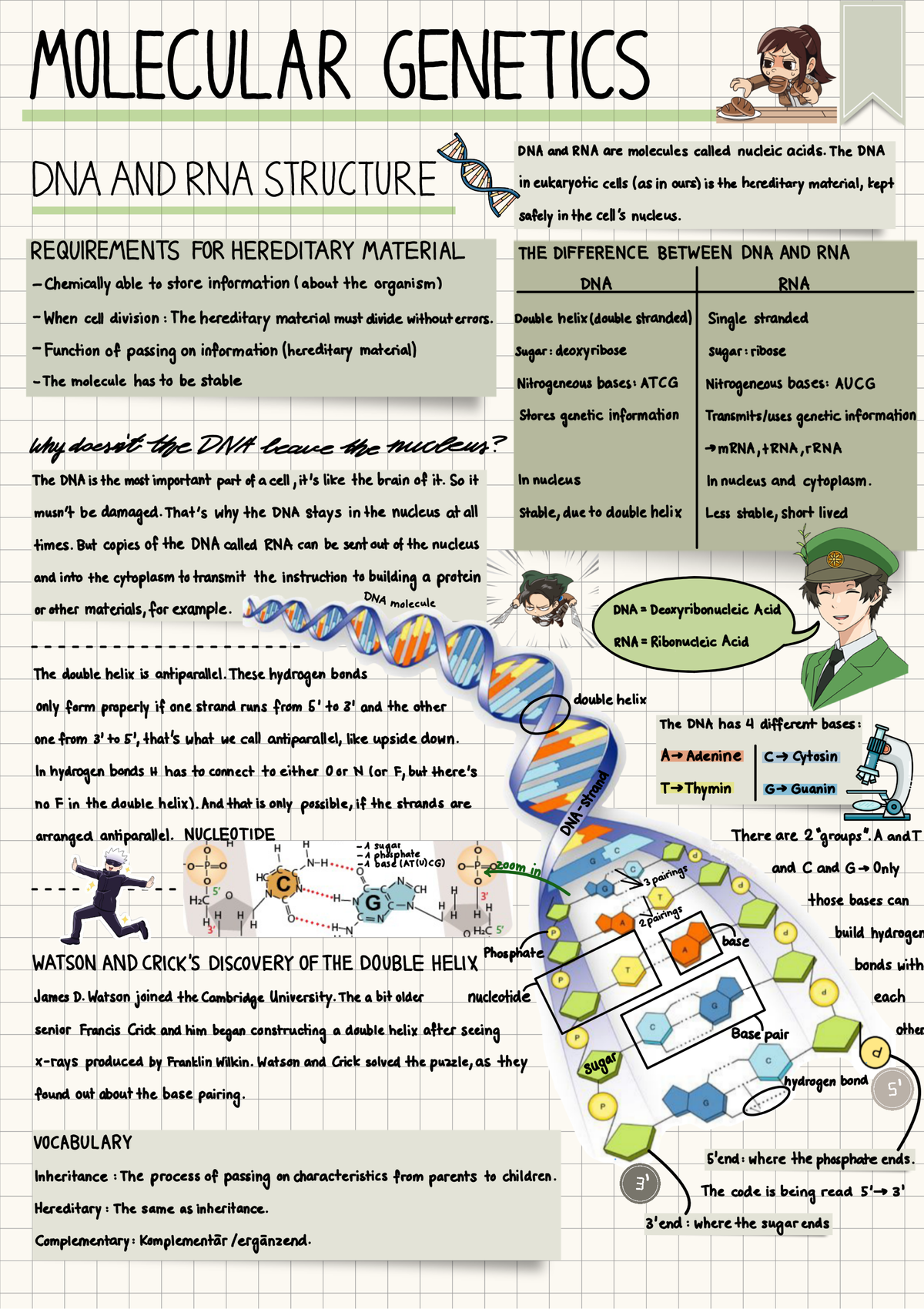Test study paper - Molecular genetics (DNA & RNA structure, DNA ...