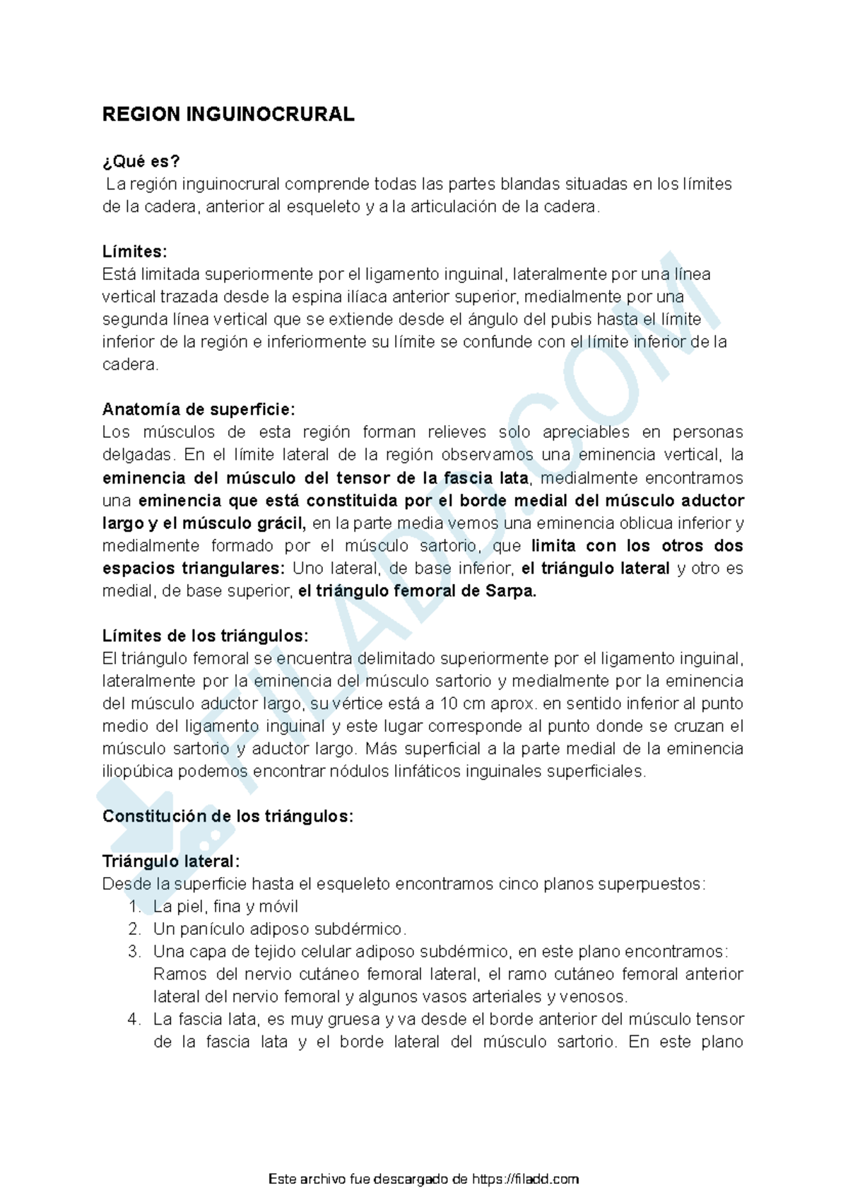 Practico 11 anato - REGION INGUINOCRURAL ¿Qué es? La región ...