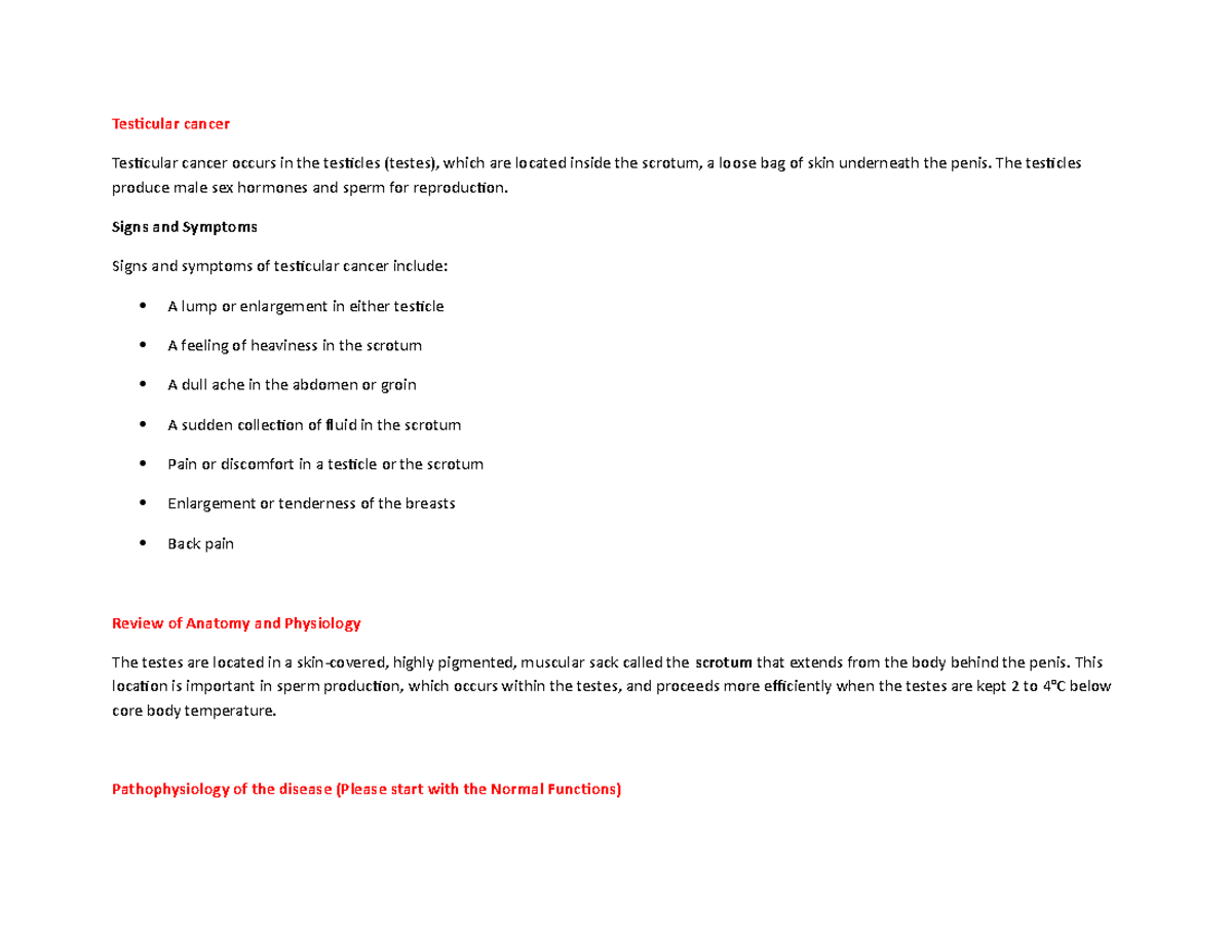 Testicular cancer - ILLNESS - Testicular cancer Testicular cancer ...