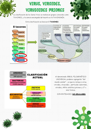 [Solved] los robosomas son organulos celulares - Biología General - Studocu