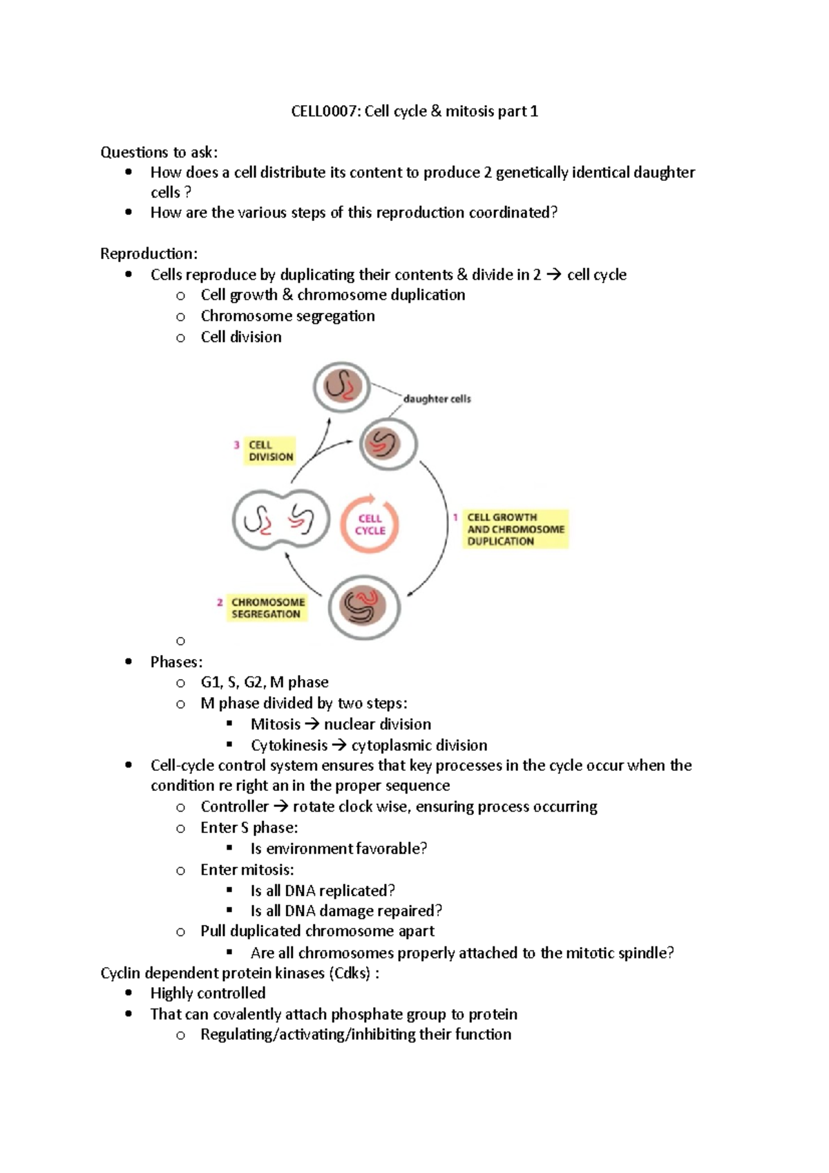 CELL0007- Cell cycle & mitosis part 1 - CELL0007: Cell cycle & mitosis ...