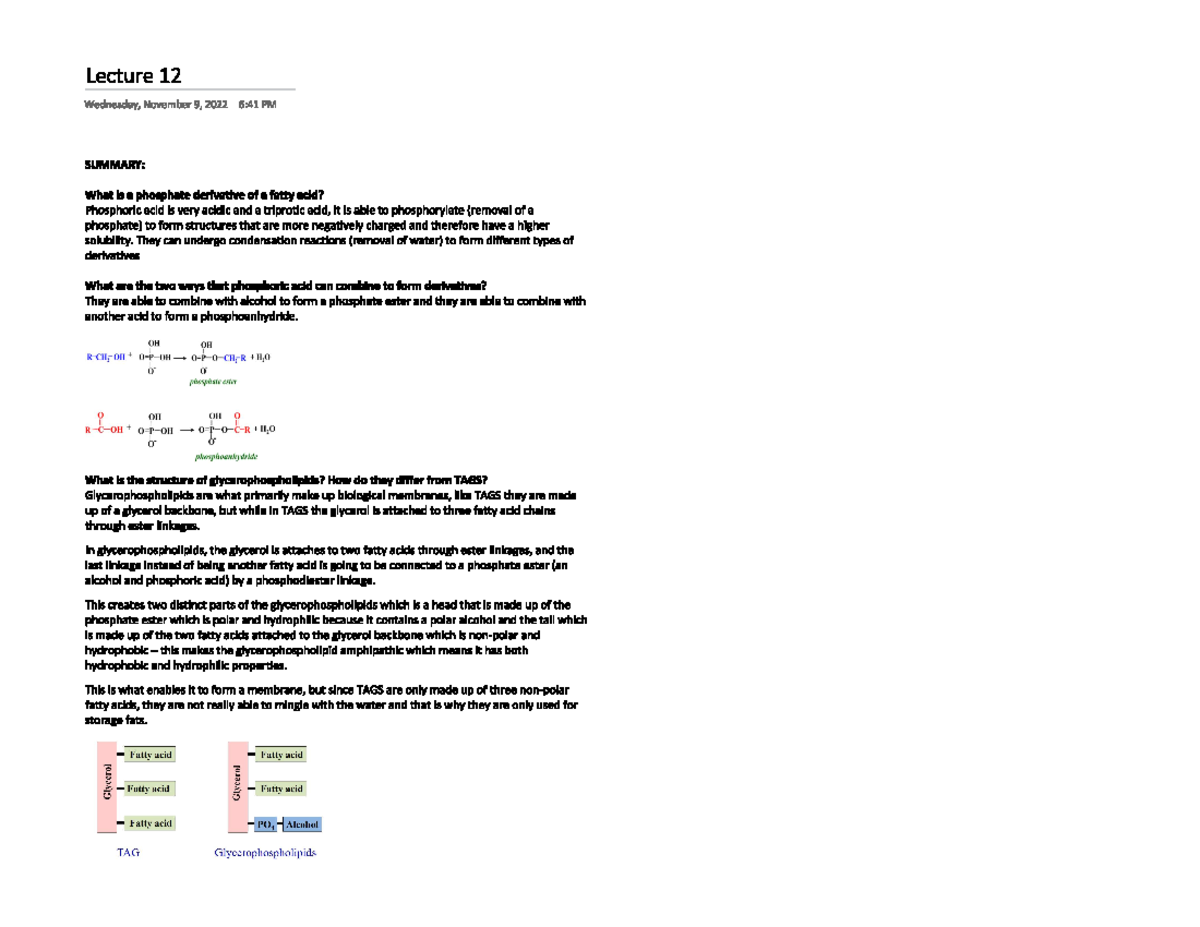 Bioc lec12 - lipids lecture - BIOC 2580 - Studocu