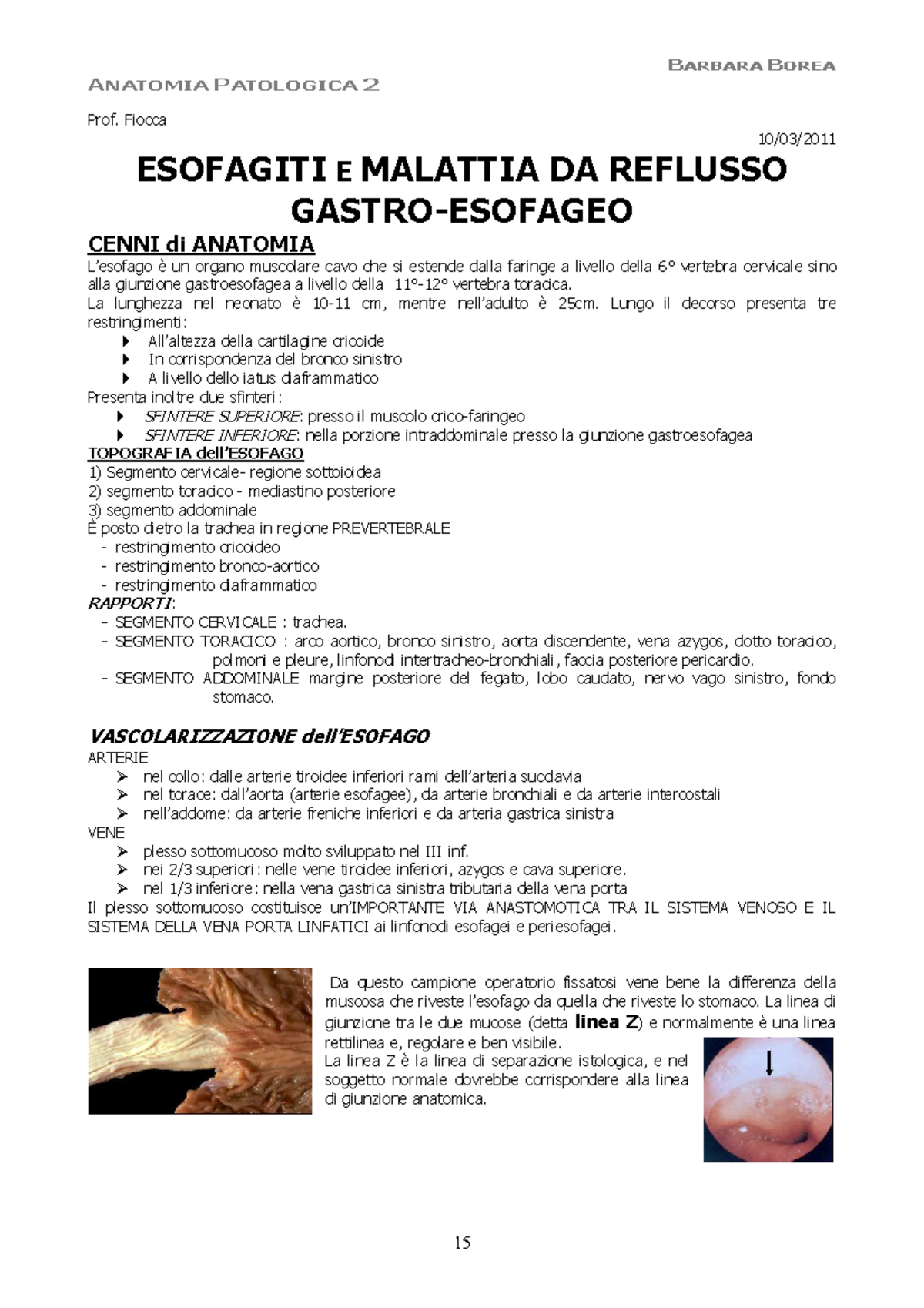 2 Pato-Esofago Fiocca pag15-34 - BARBARA BOREA ANATOMIA PATOLOGICA 2 ...