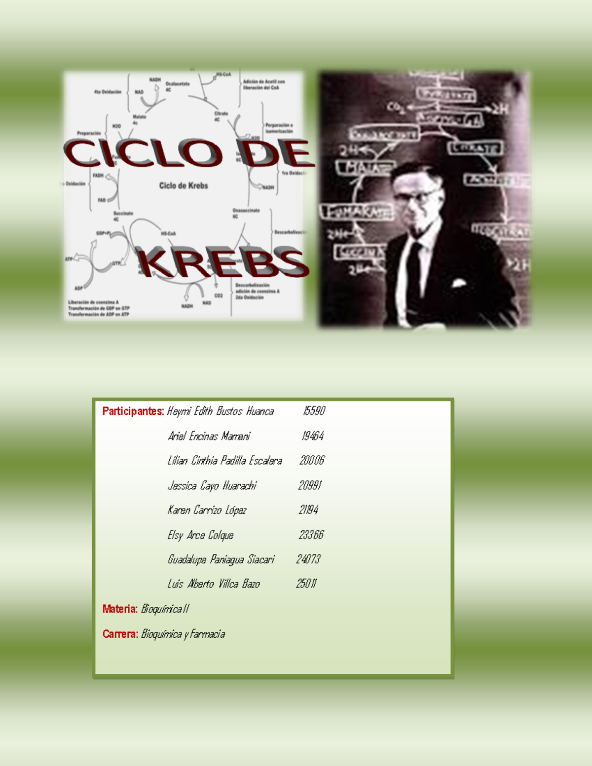 Ciclo de Krebs - Materia: Bioquímica II Participantes: Heymi Edith ...