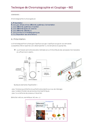 Compte rendu TP GC pdf - COMPTE-RENDU DE TP DE CHROMATOGRAPHIE : Chromatographie en Phase ...
