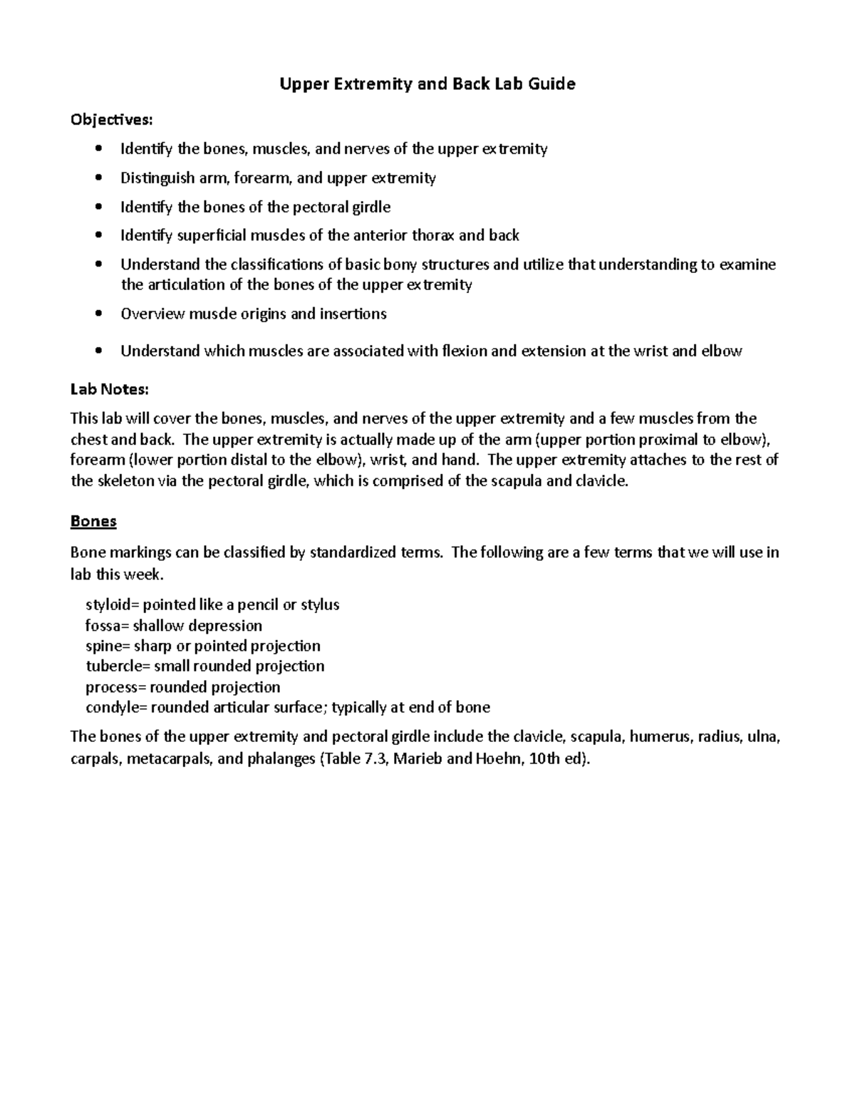 Upper Extremity and Back Lab Guide - Upper Extremity and Back Lab Guide ...