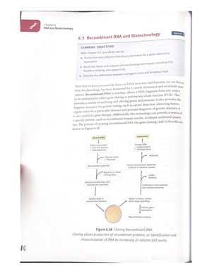 Biochemistry review sheet - CHEM 4033 - Studocu