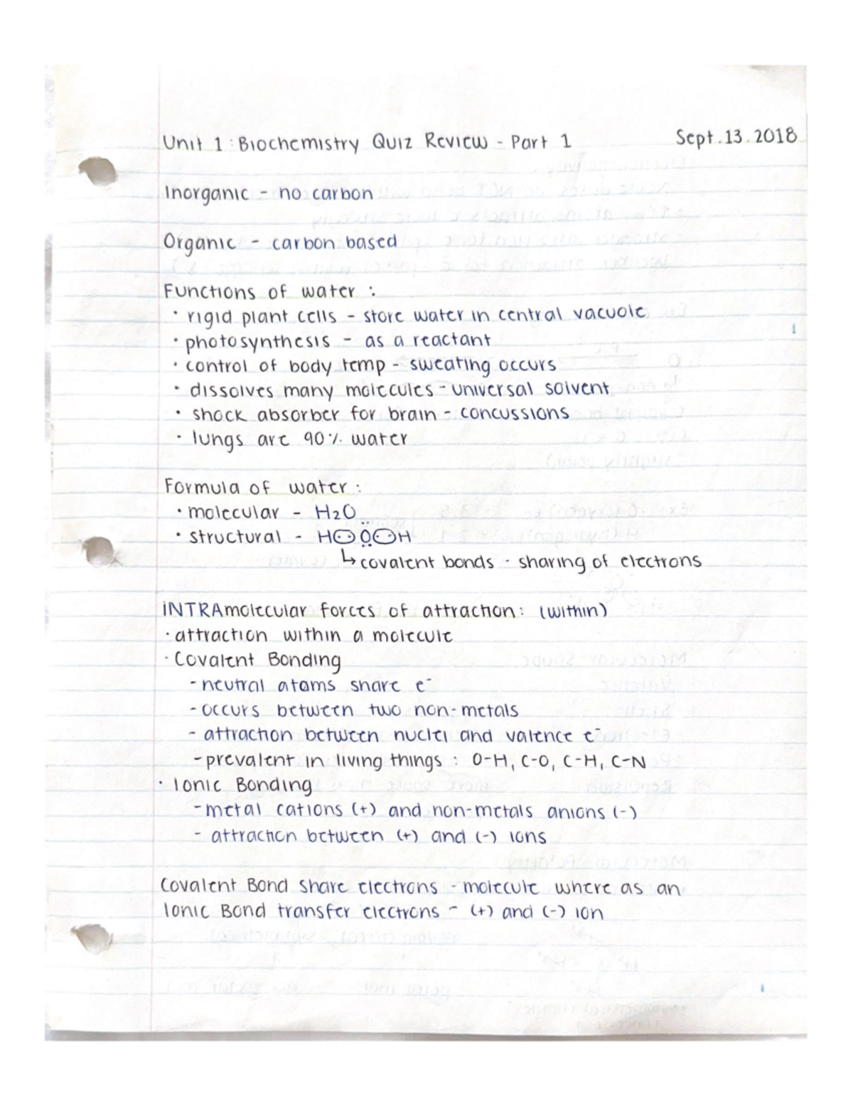 Biochemistry Quiz - Notes - Studocu