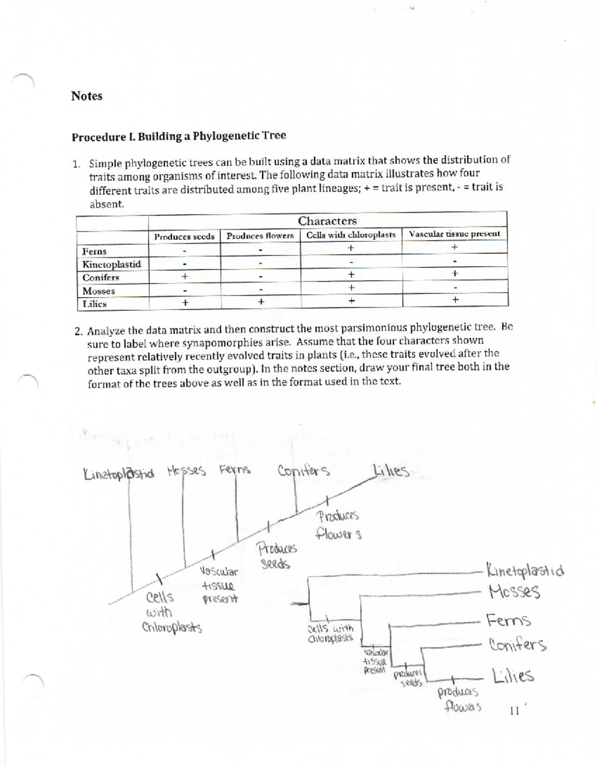 151 Lab Notes - Notes Procedure I. Building a Phylogenetic Tree 1 ...