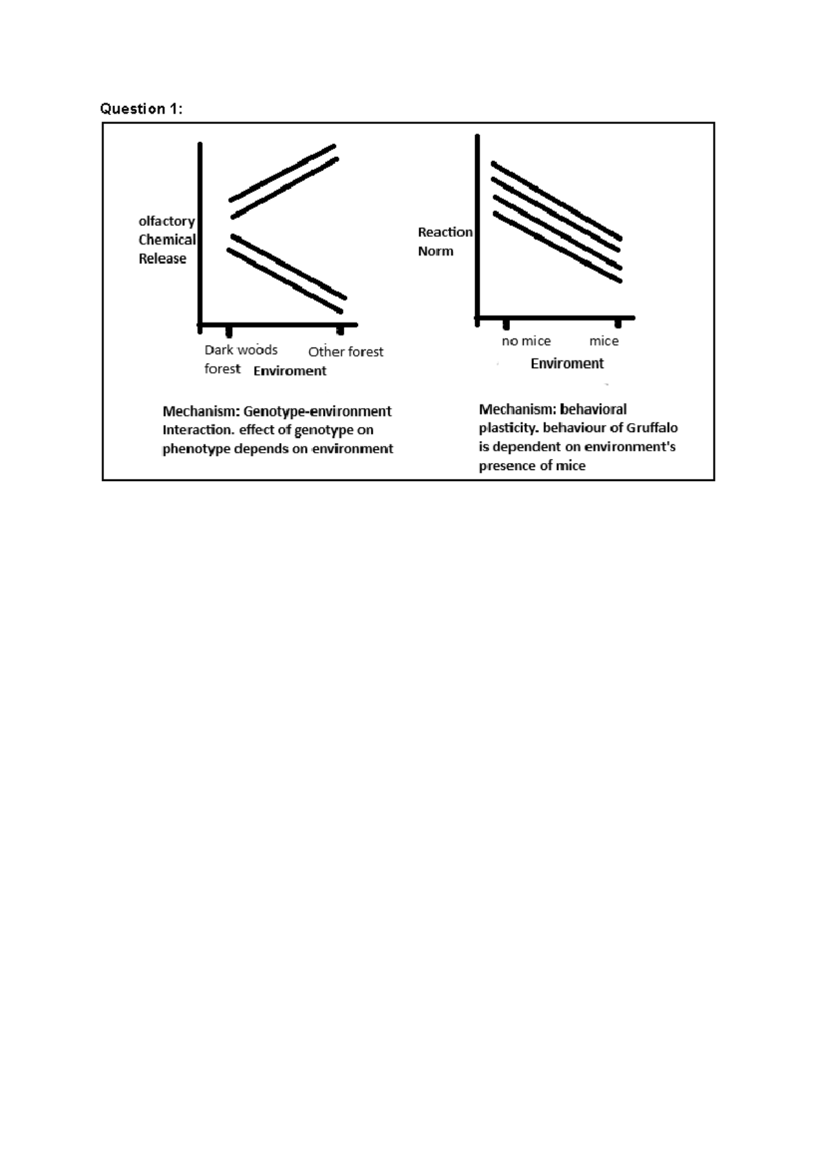 Deep q 3 - Question 1: Question 2: Experiment to Investigate the Role ...