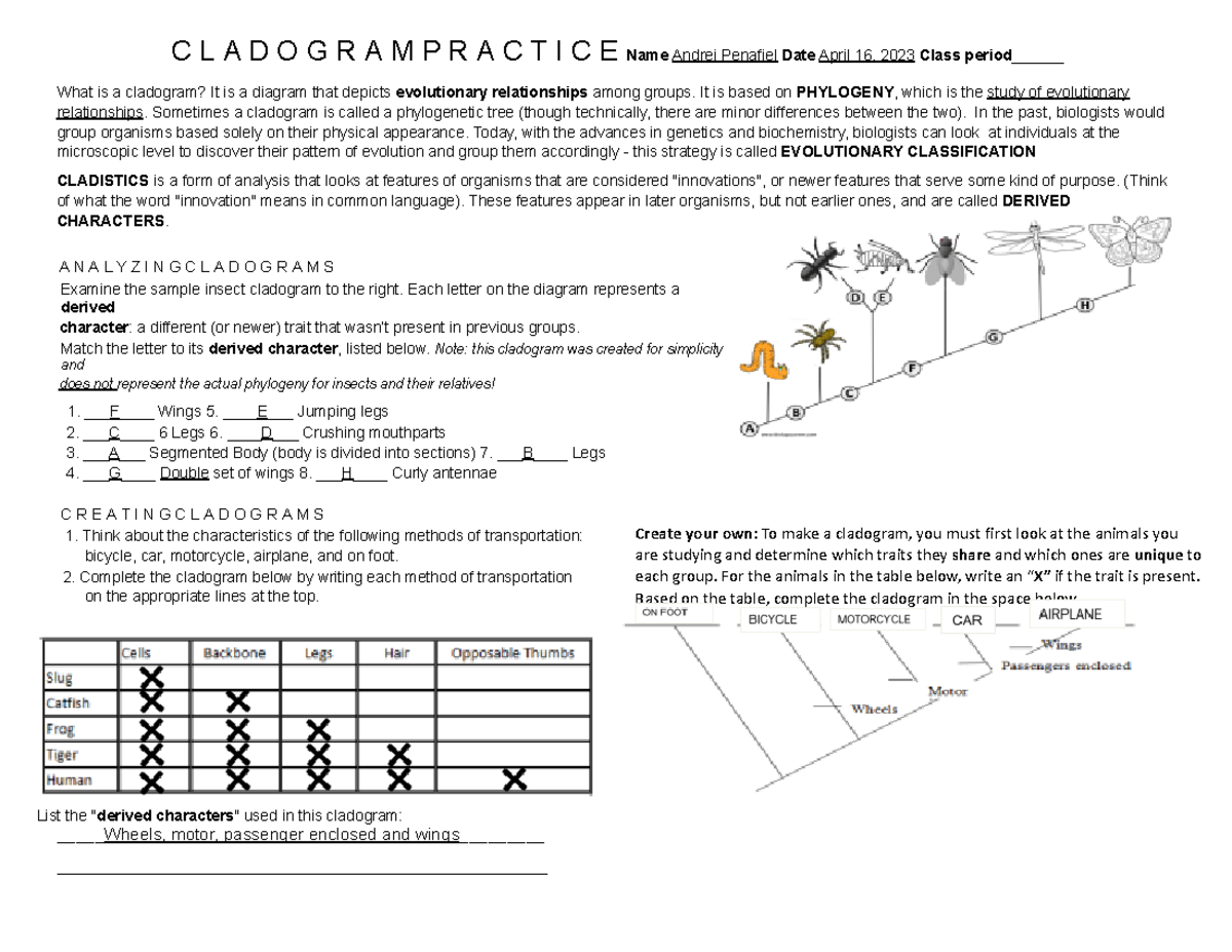 Cladogram activity Penafiel - C L A D O G R A M P R A C T I C E Name ...