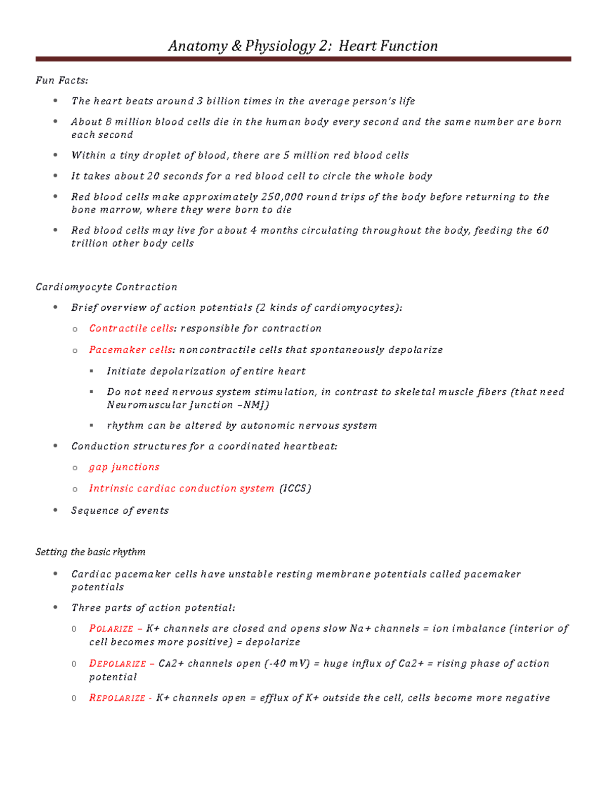 Heart Physiology outline - Fun Facts: The heart beats around 3 billion ...