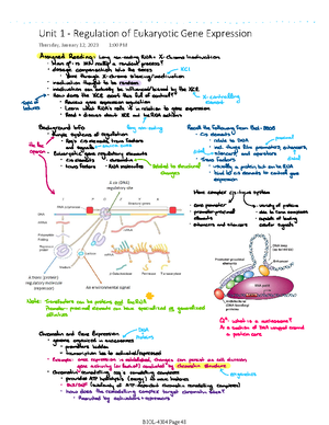 Unit 2 - Developmental Genetics and Genomics Lecture Notes - Unit 2 ...