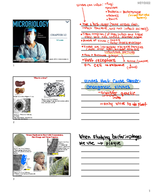 The Nursing Process- Week 2 - The Nursing Process 5 Step process Gebbie ...