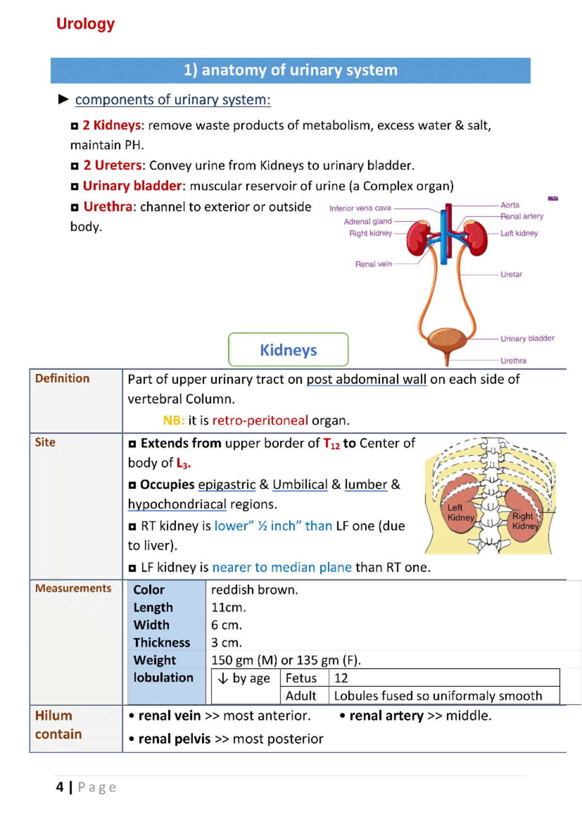 1st day anatomy - General Anatomy - Studocu