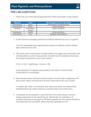 Lab 4 Planning Form - Lab 4 Planning Form Describe the observations in ...