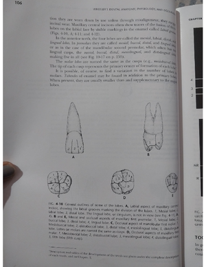 20221113 2005 44 - Forensic comparative anatomy, geometries, and form ...