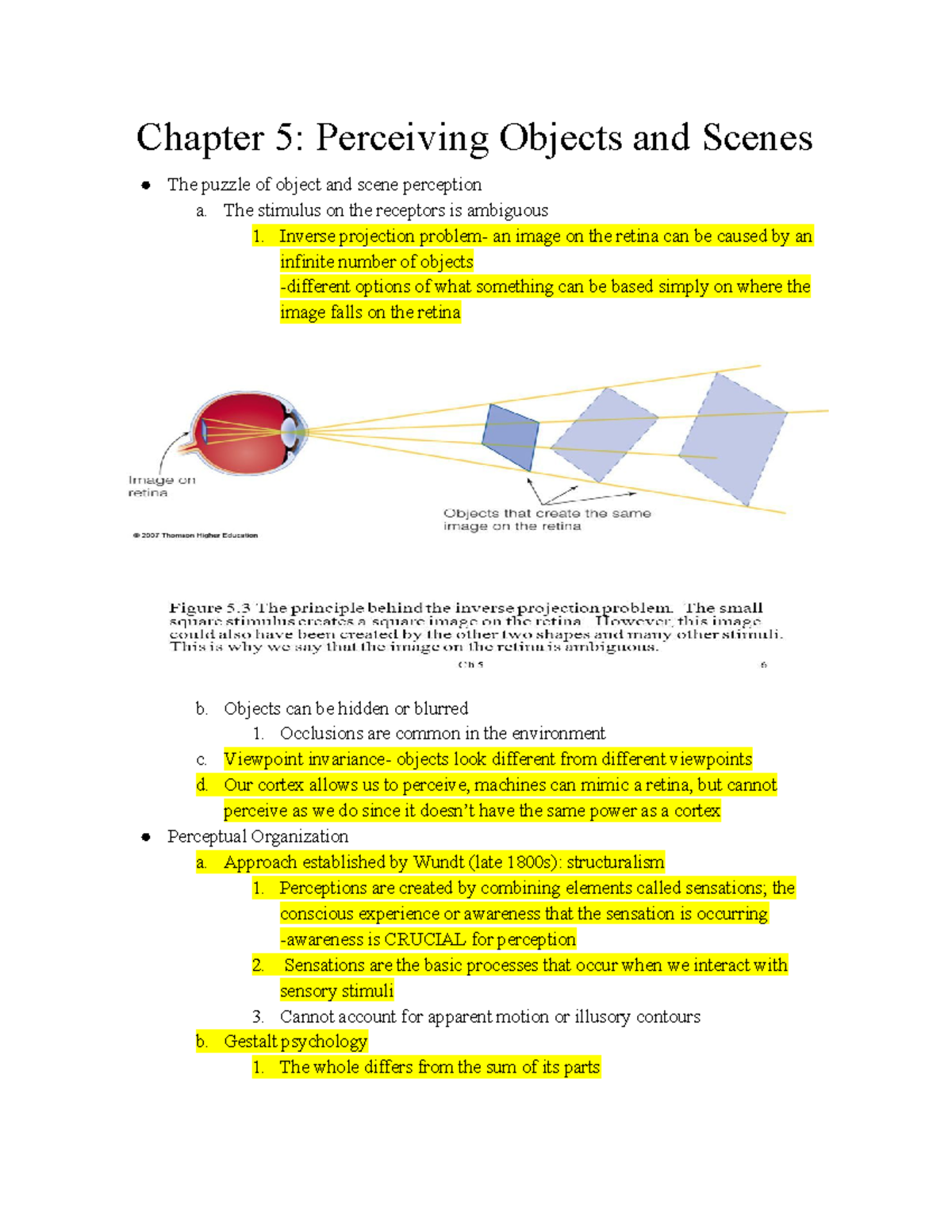 Sensation&Perception Ch - Chapter 5: Perceiving Objects and Scenes The ...