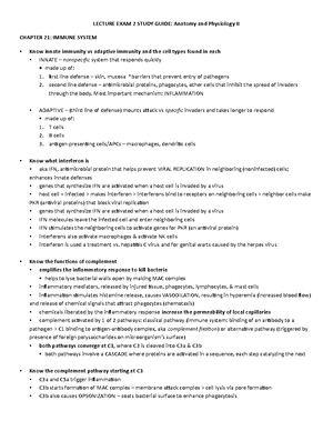 Anatomy and Physiology II Study guide for exam 3 Original - Anatomy and ...