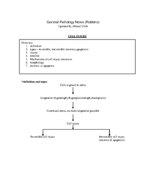 Anatomy Shelf Notes Usmle Step 1 Resources - 100 must important GA ...